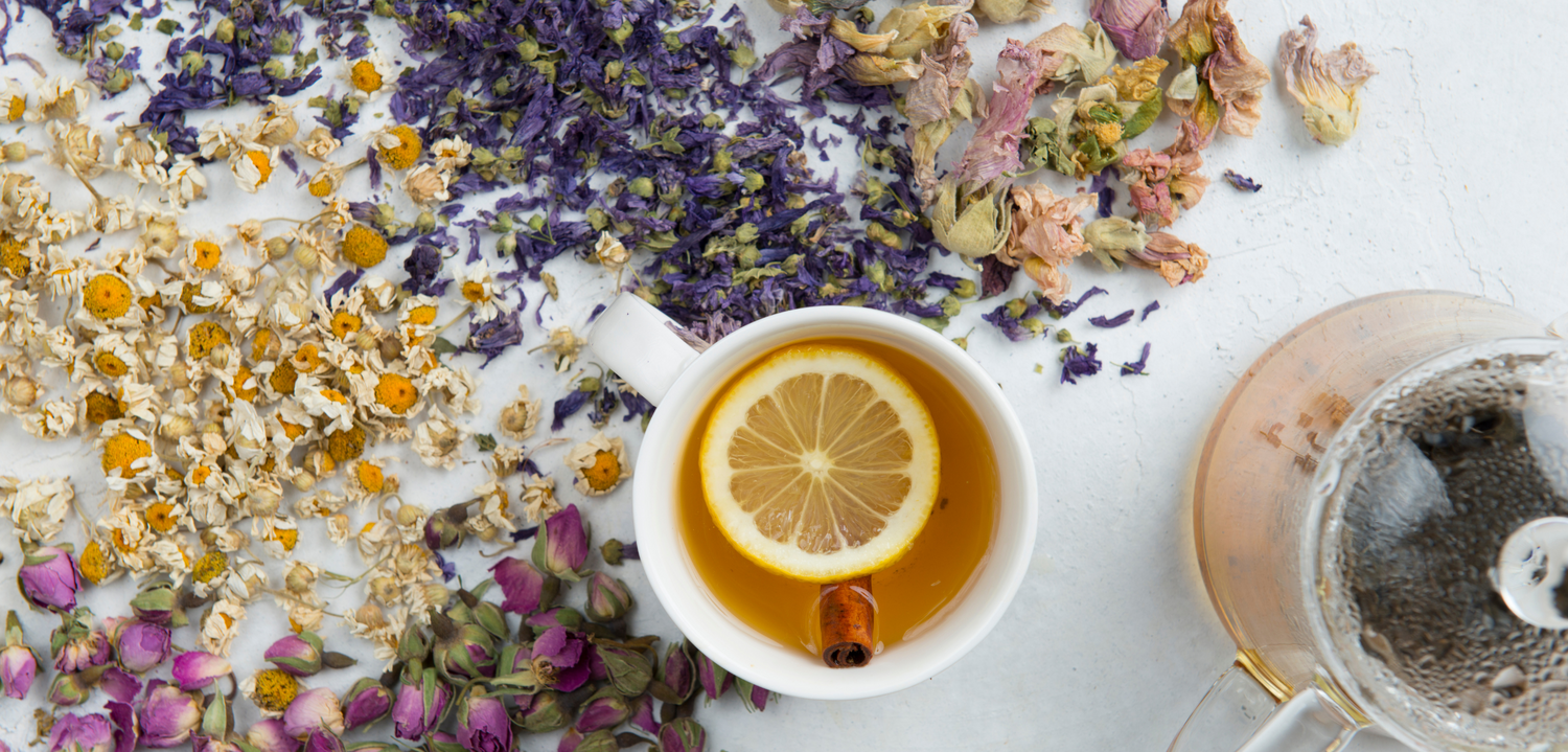 10 Herbs to Naturally Boost Your Immunity This Fall – Savory Blends Tea Co.